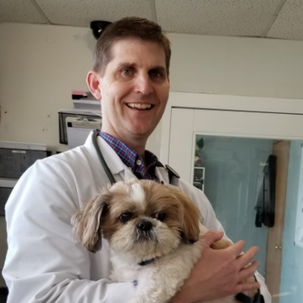 Veterinarian In Pontiac, IL 61764 | Animal Wellness Center Of Pontiac